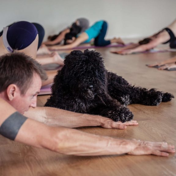 Gallery - Raw Power Yoga Brisbane